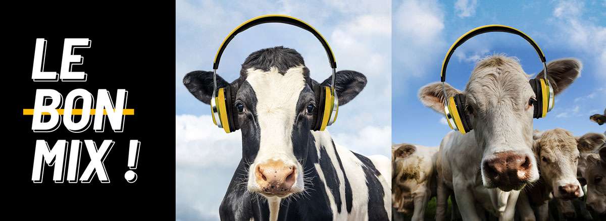 New from Lucas G : Le Bon Mix is coming soon - Lucas G